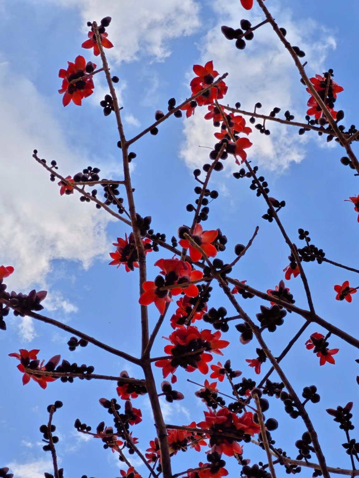 POCO F7 Ultra camera samples show that all cameras are good - XiaomiTime