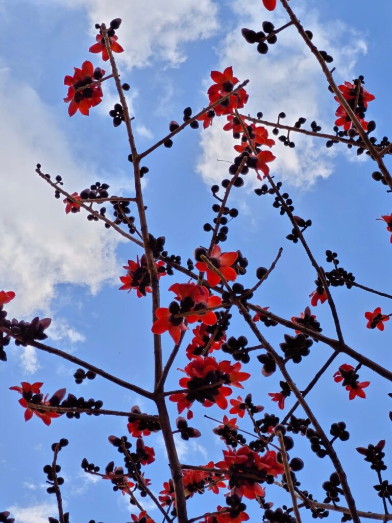 POCO F7 Ultra camera samples show that all cameras are good - XiaomiTime