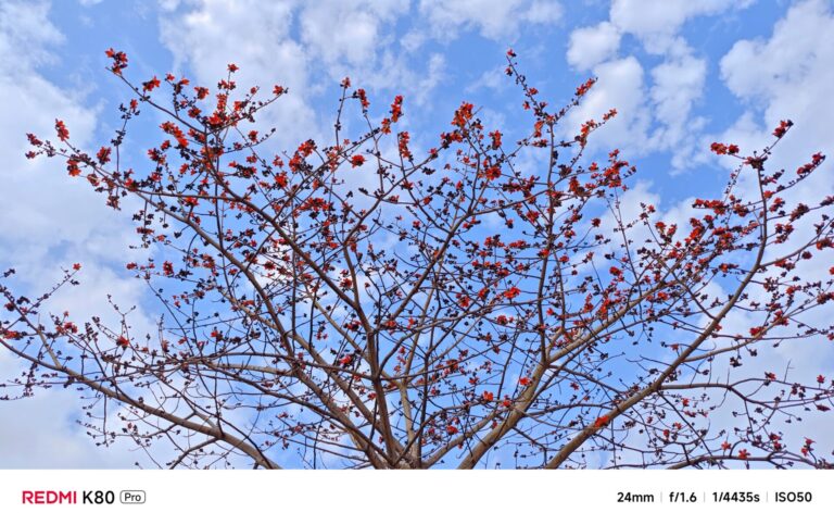 POCO F7 Ultra camera samples show that all cameras are good - XiaomiTime