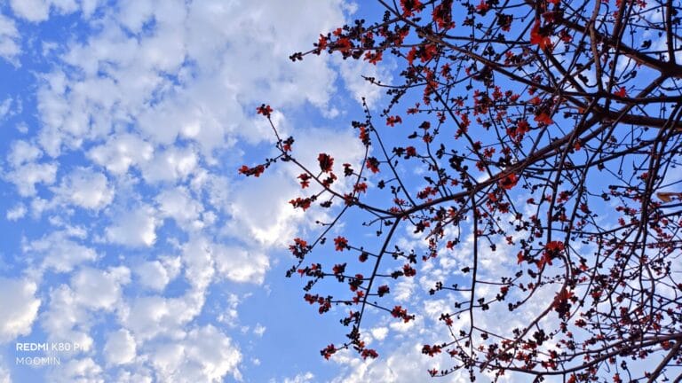 POCO F7 Ultra camera samples show that all cameras are good - XiaomiTime