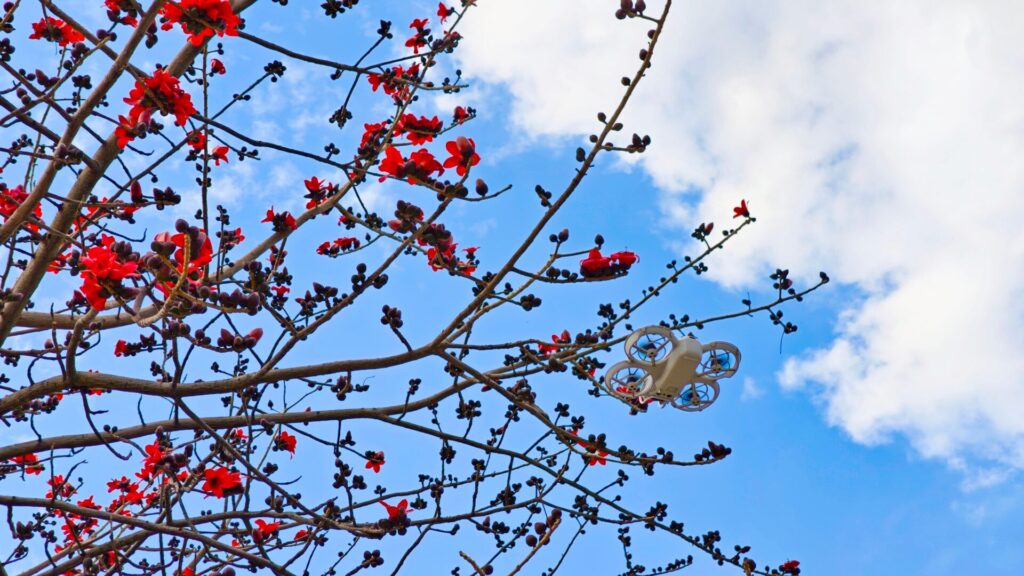 POCO F7 Ultra camera samples show that all cameras are good - XiaomiTime