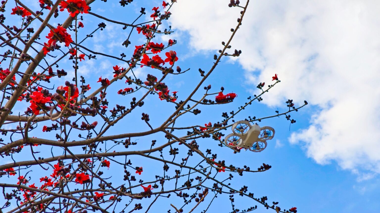 POCO F7 Ultra camera samples show that all cameras are good - XiaomiTime