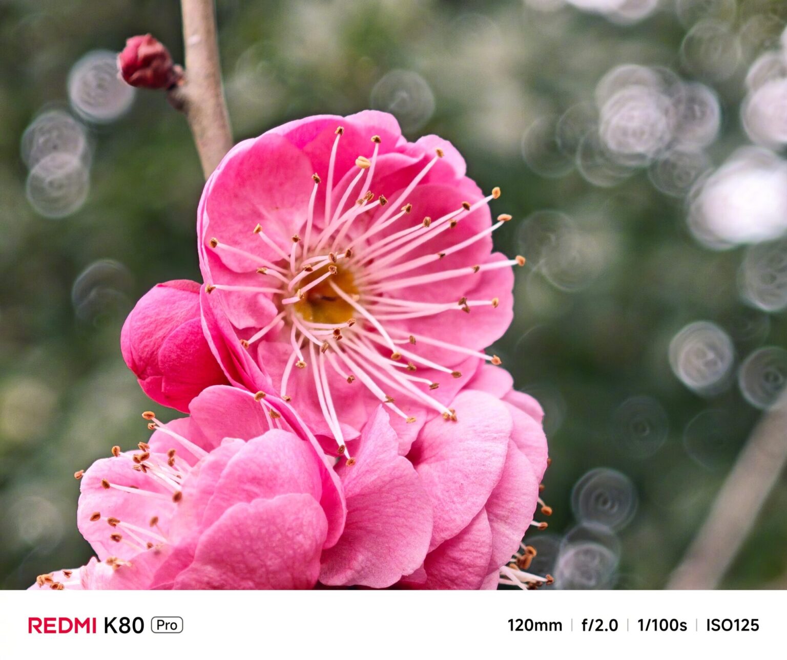 POCO F7 Ultra camera samples show that all cameras are good - XiaomiTime