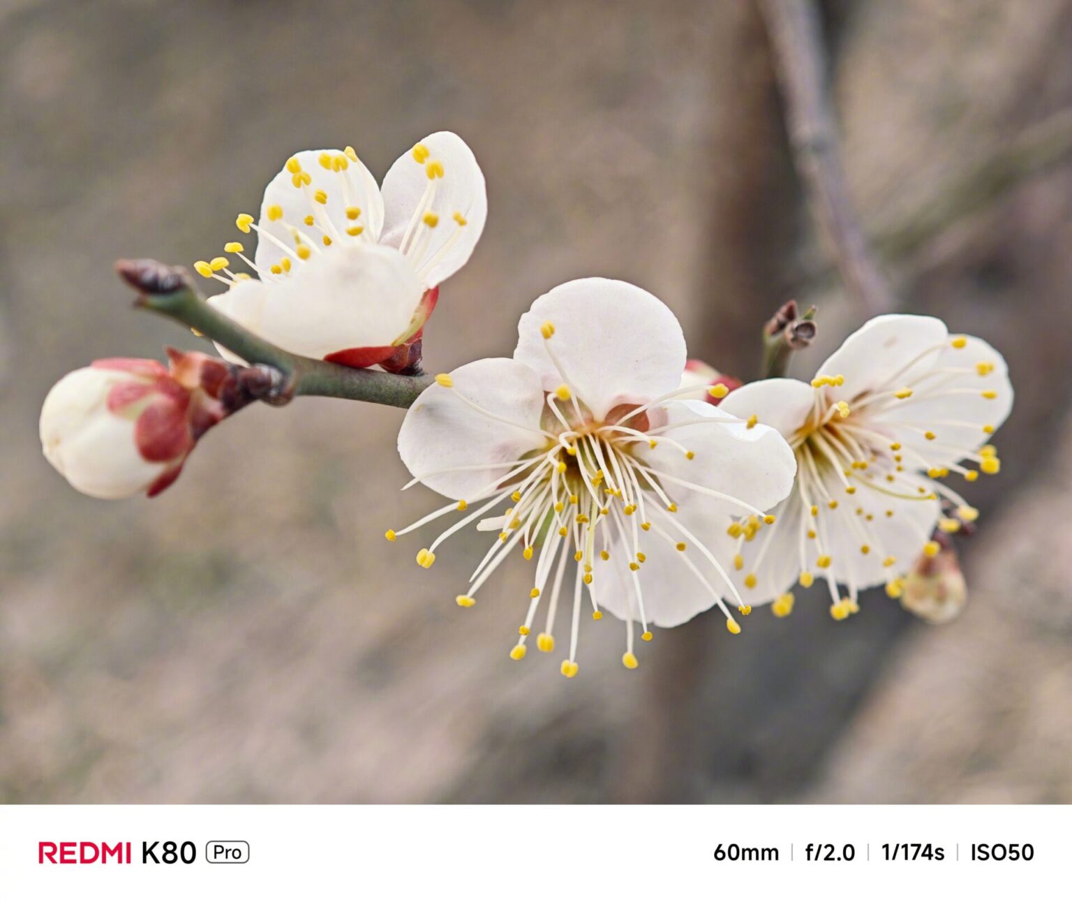 POCO F7 Ultra camera samples show that all cameras are good - XiaomiTime